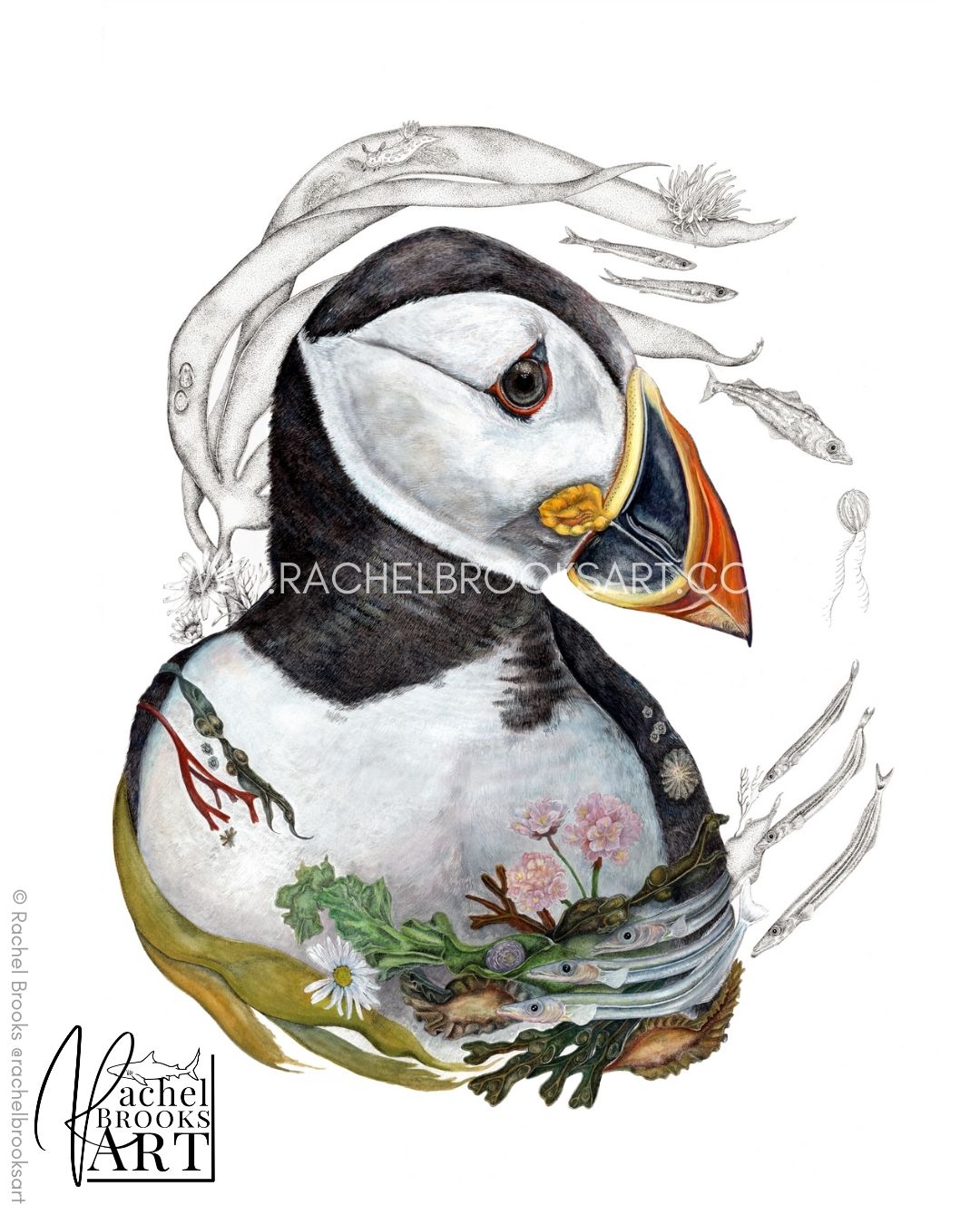 'Sirens' Puffin, Limited Edition Art Print of 25 – Rachel Brooks Art
