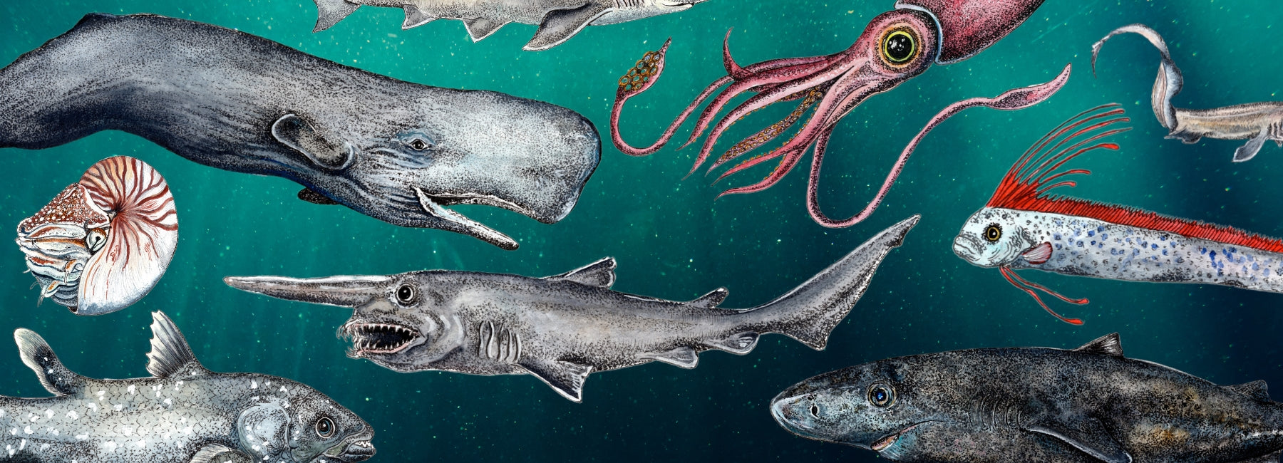 Deep Sea Collection – Rachel Brooks Art