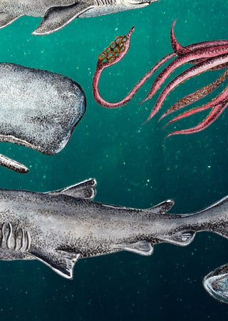 Deep Sea Collection – Rachel Brooks Art