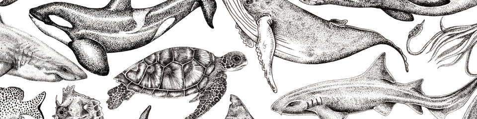 Tattoos – Rachel Brooks Art