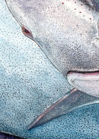 Original Art – Rachel Brooks Art