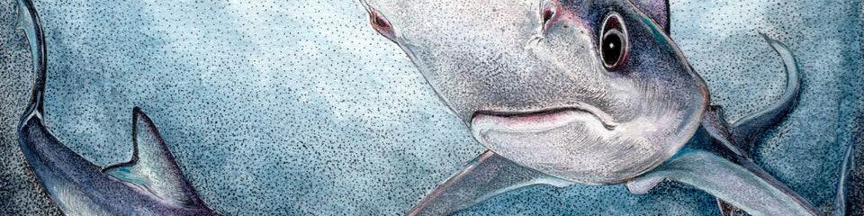 Original Art – Rachel Brooks Art