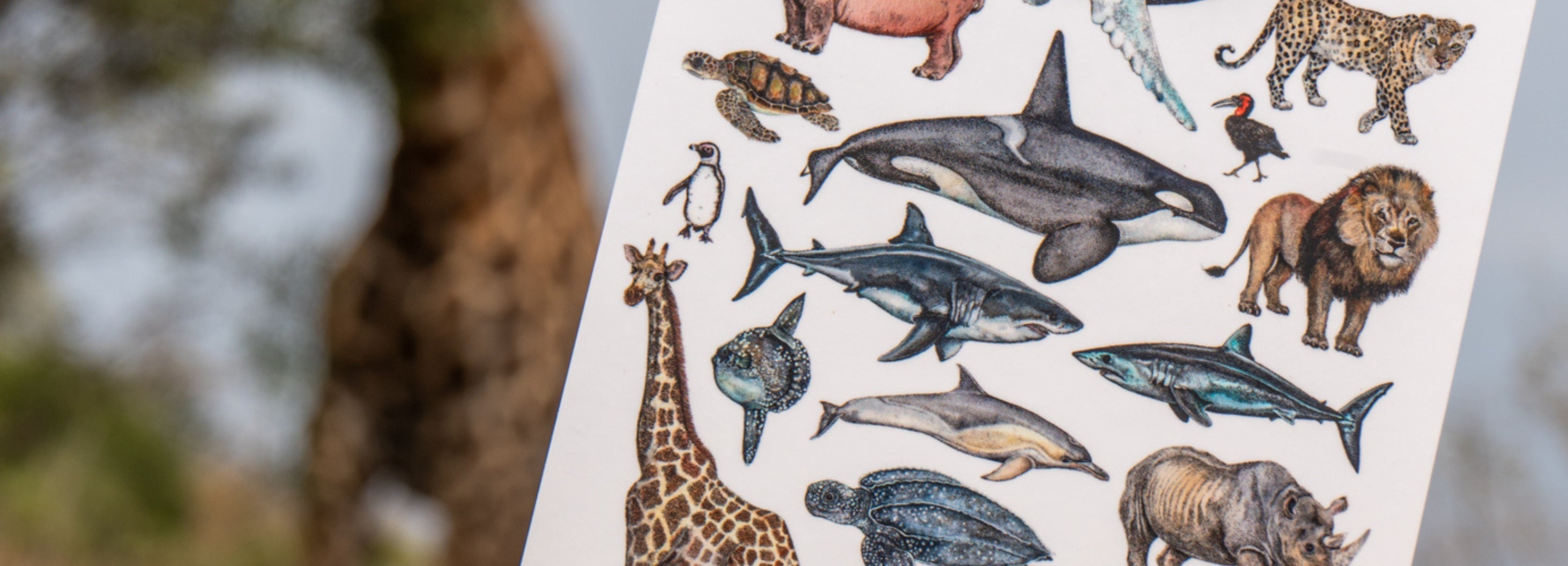 Card & Postcards – Rachel Brooks Art