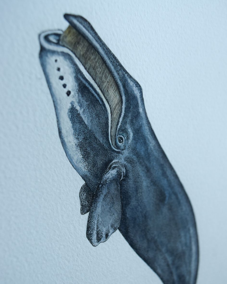 Original Art – Rachel Brooks Art