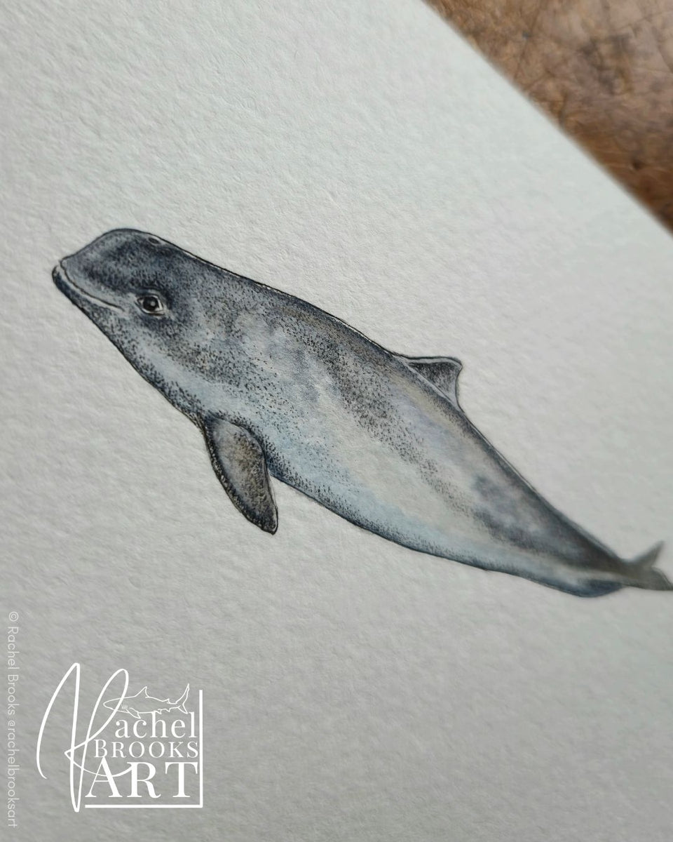 Original Art – Rachel Brooks Art