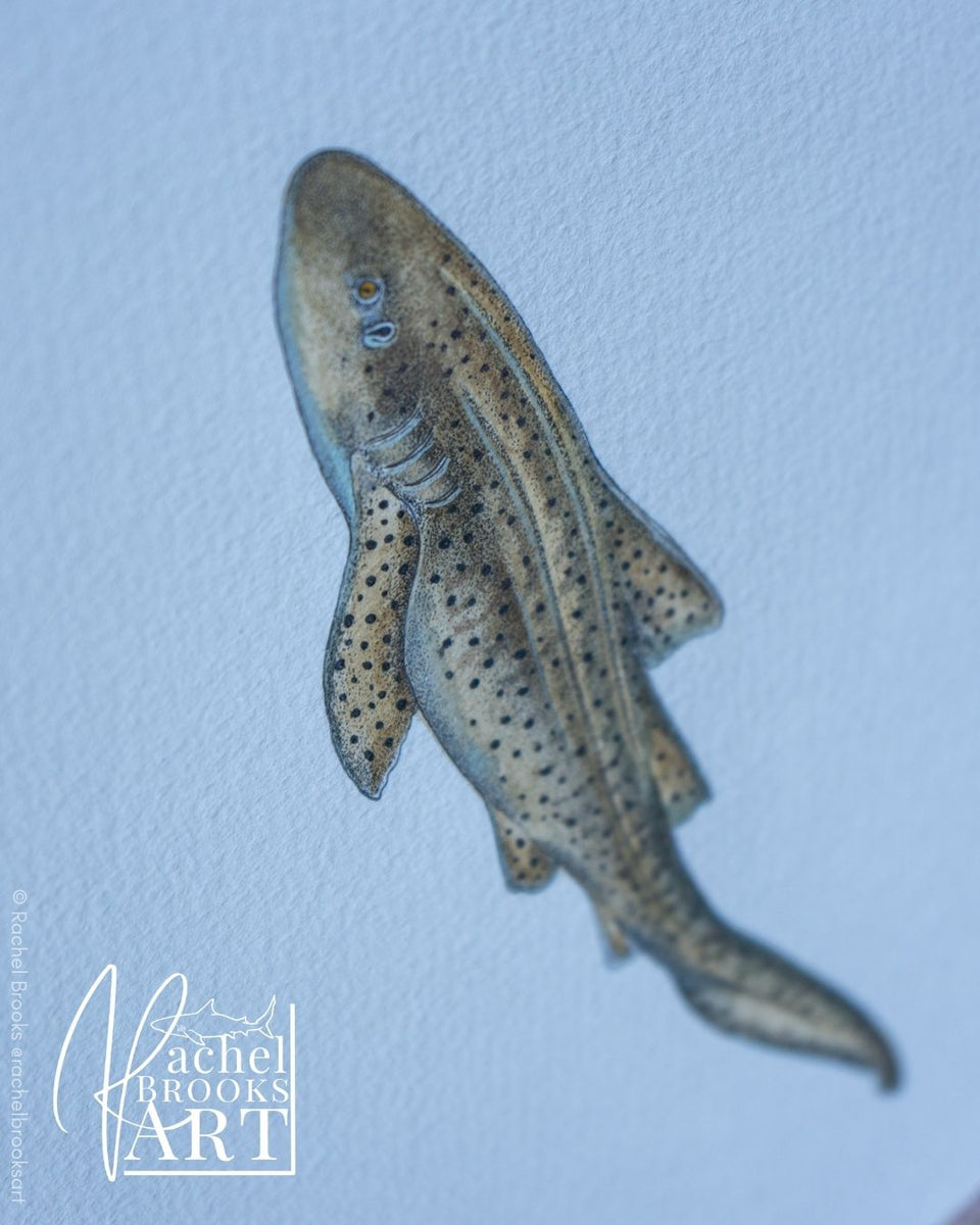 Original Art – Rachel Brooks Art