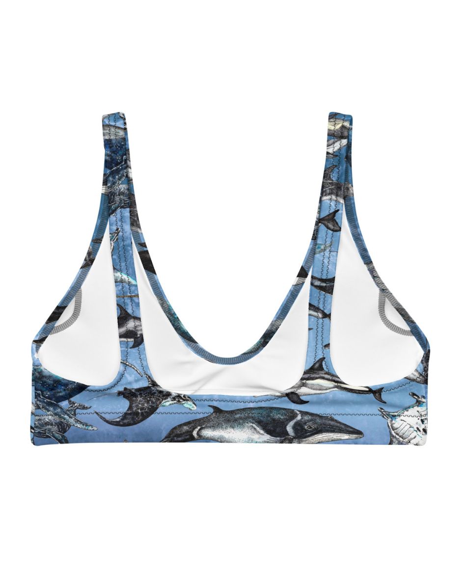 Swimwear – Rachel Brooks Art