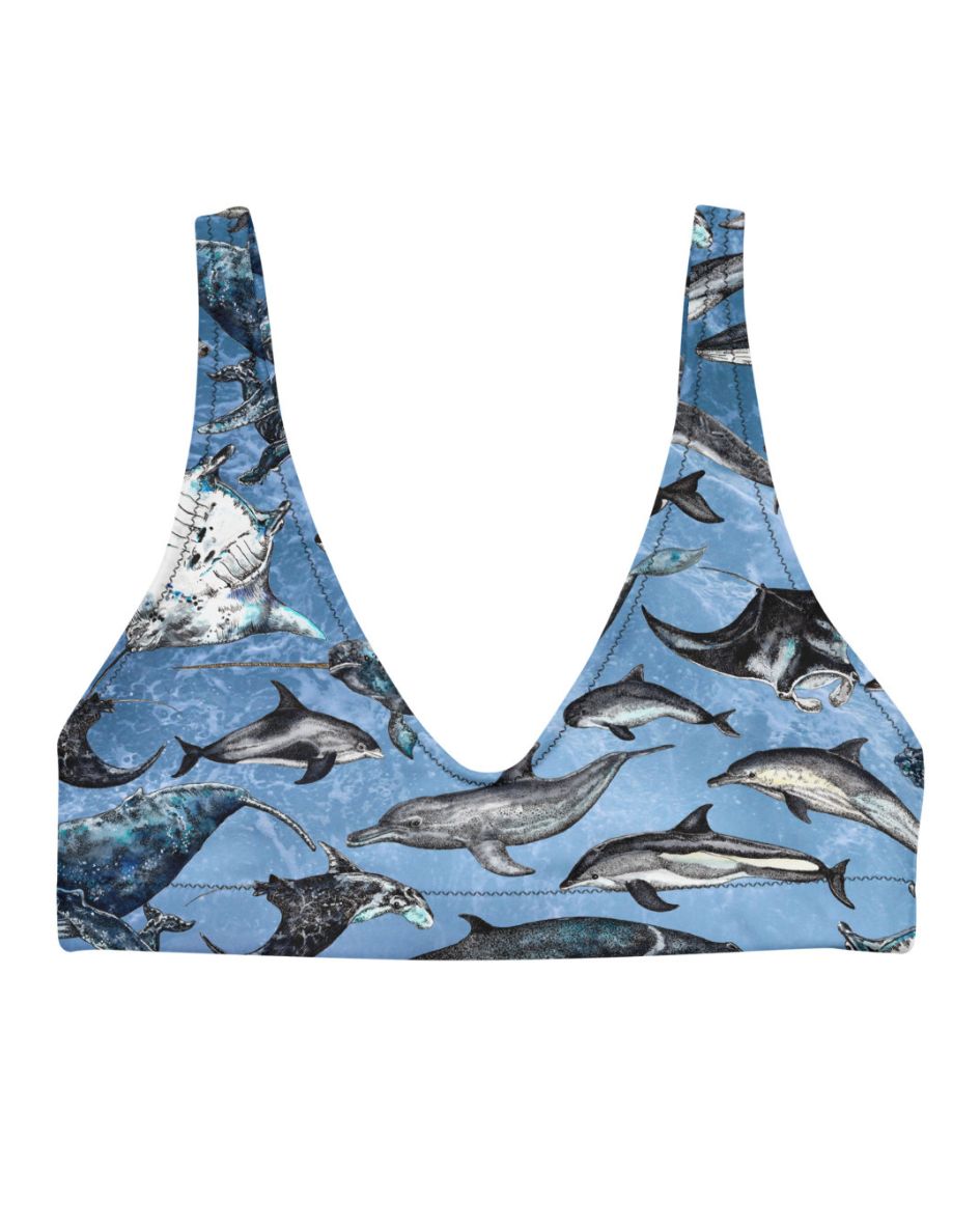Swimwear – Rachel Brooks Art