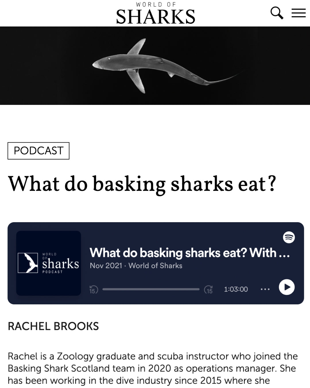 Publications – Rachel Brooks Art