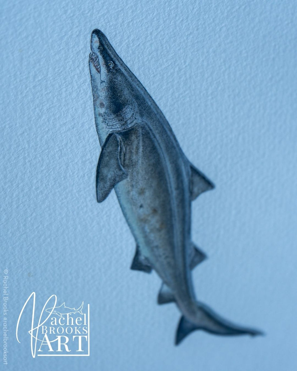 Original Art – Rachel Brooks Art