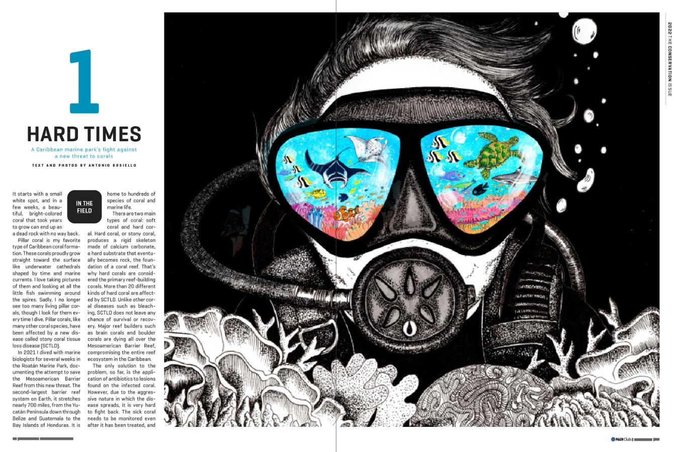 Artivism – Rachel Brooks Art