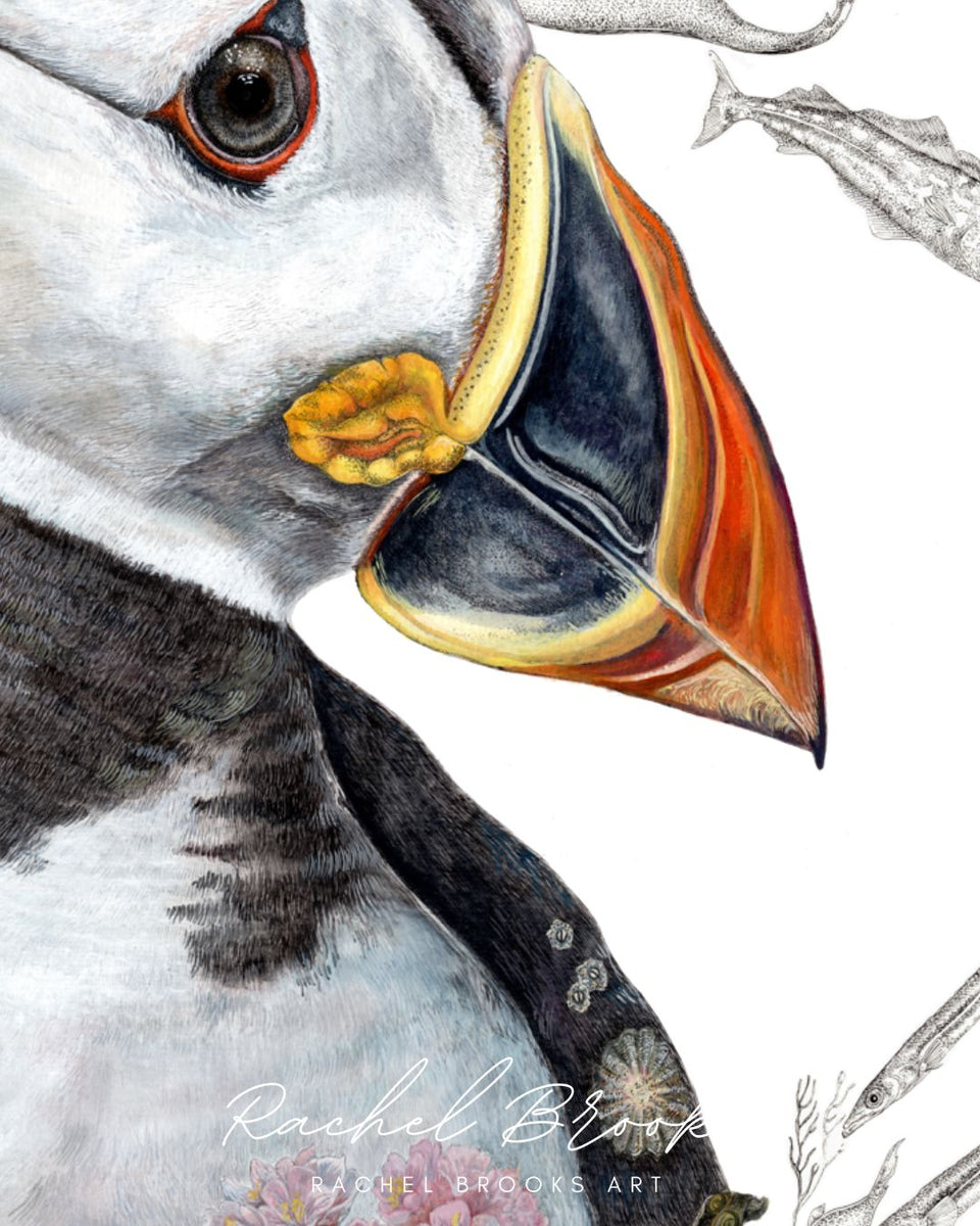 Limited Edition Art – Rachel Brooks Art