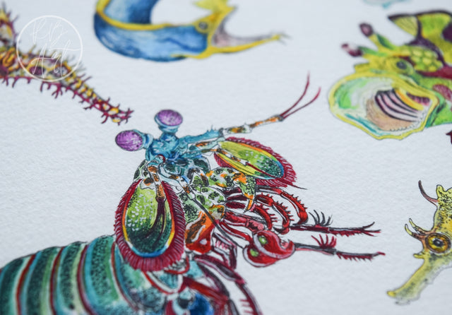 Original Art – Rachel Brooks Art
