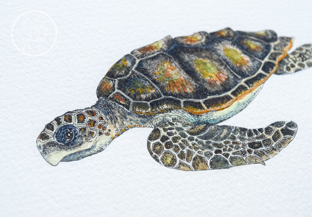 Original Art – Rachel Brooks Art